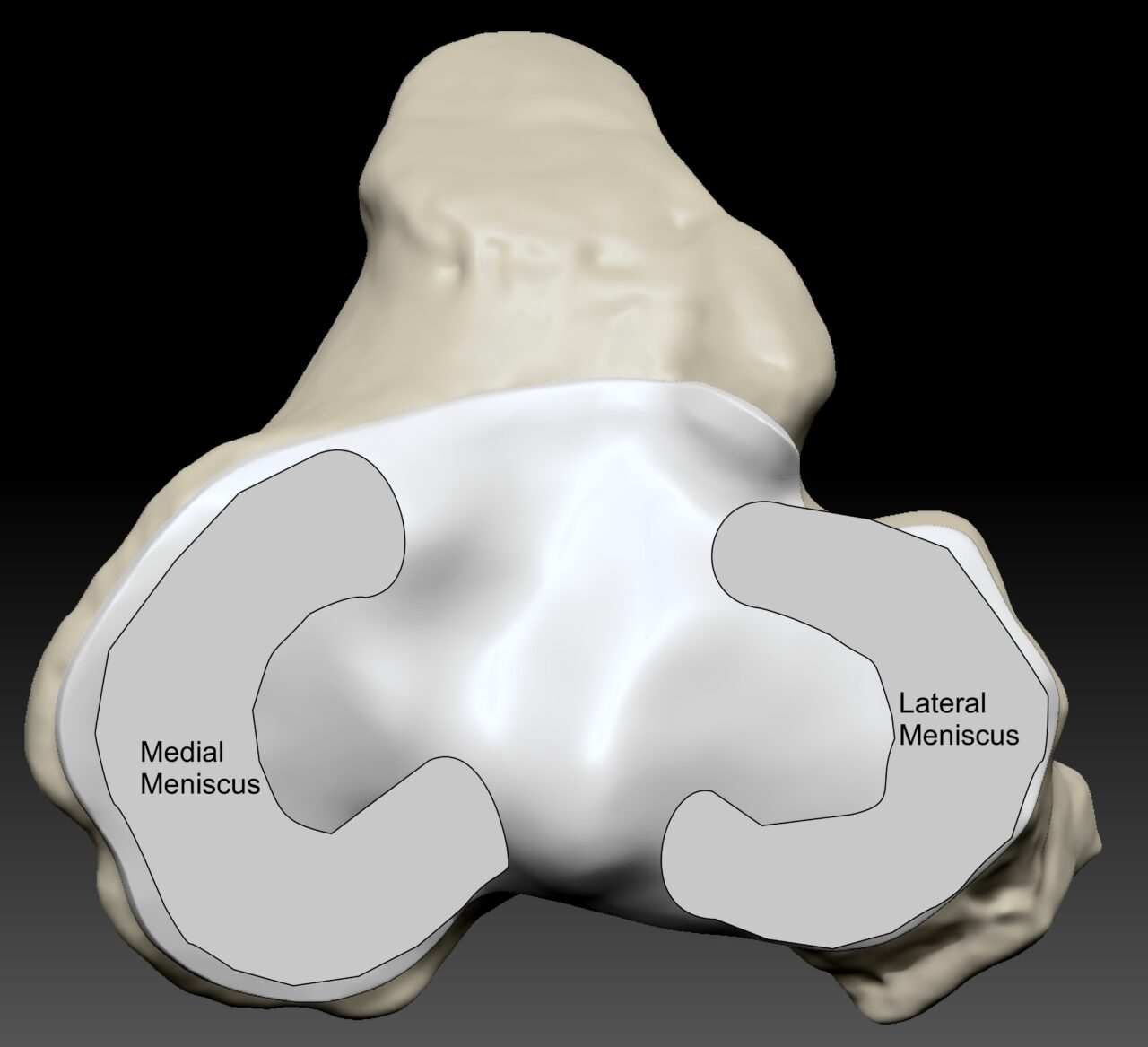 Pet Minimally Invasive In Shawnee, KS 66218 | Kansas City Canine ...