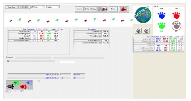 Angular Limb Deformity Corrective Osteotomy In Shawnee, KS 66218 ...